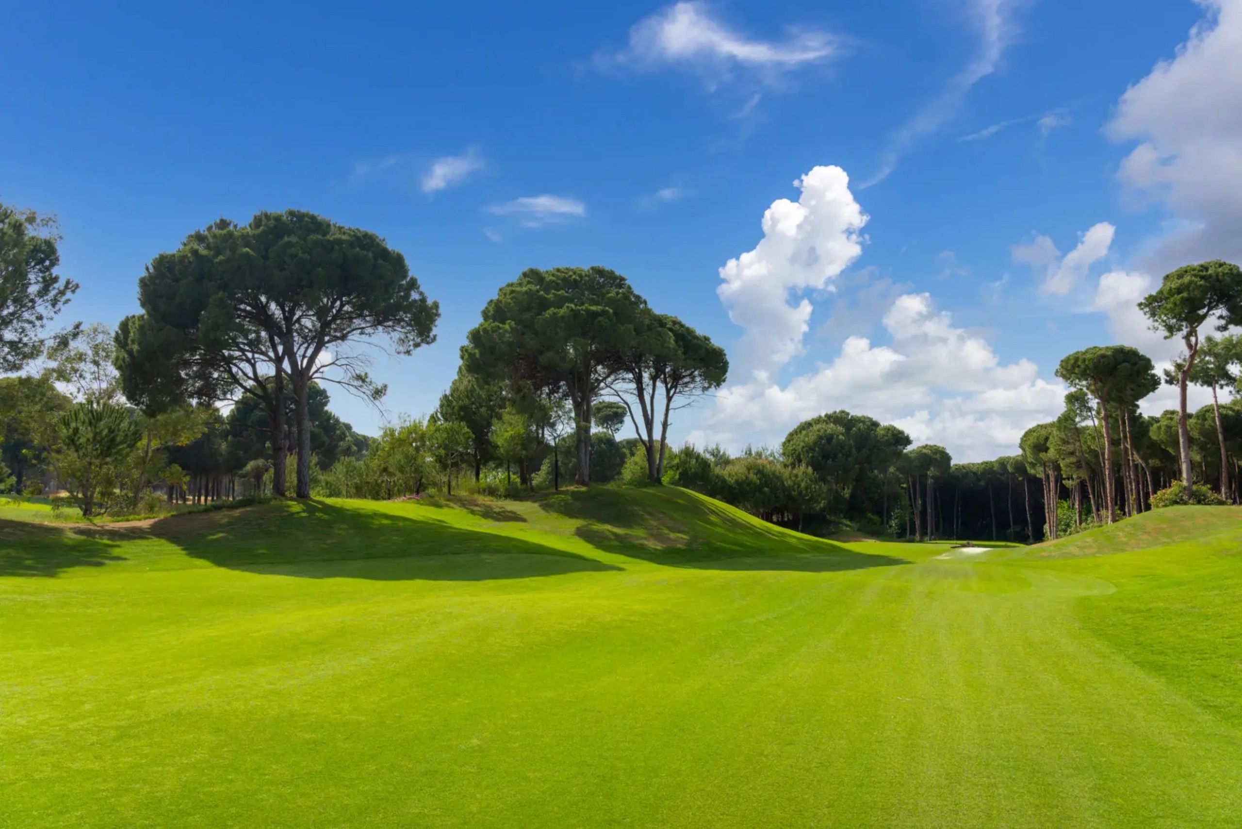 Experience Golf Like Never Before at 59 Club