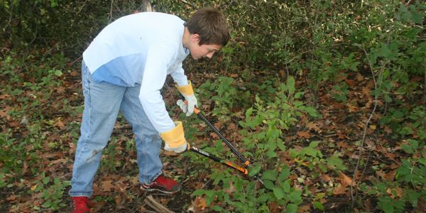 Catholic Ecology Center - Home