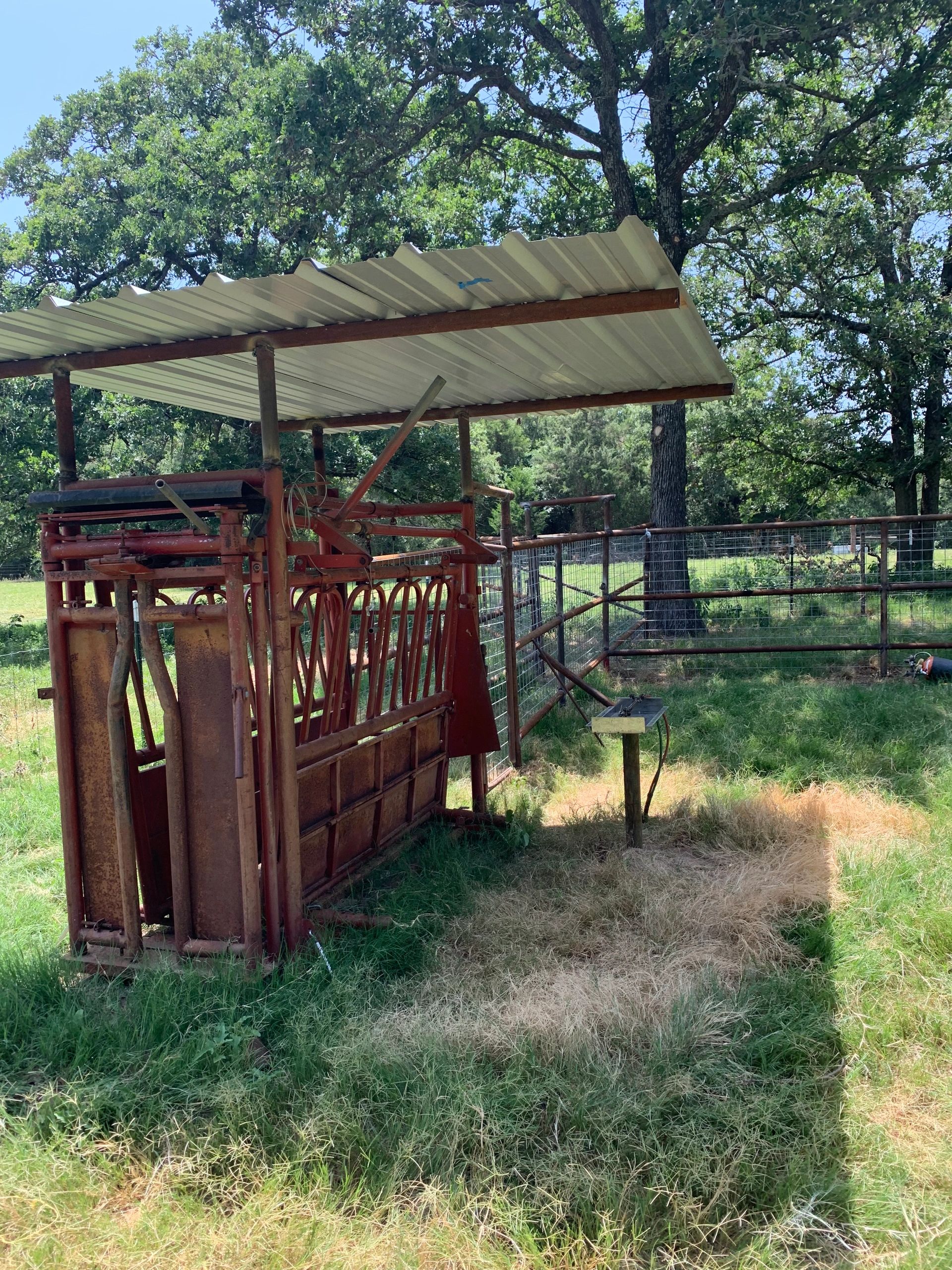 Designer Deer Farms