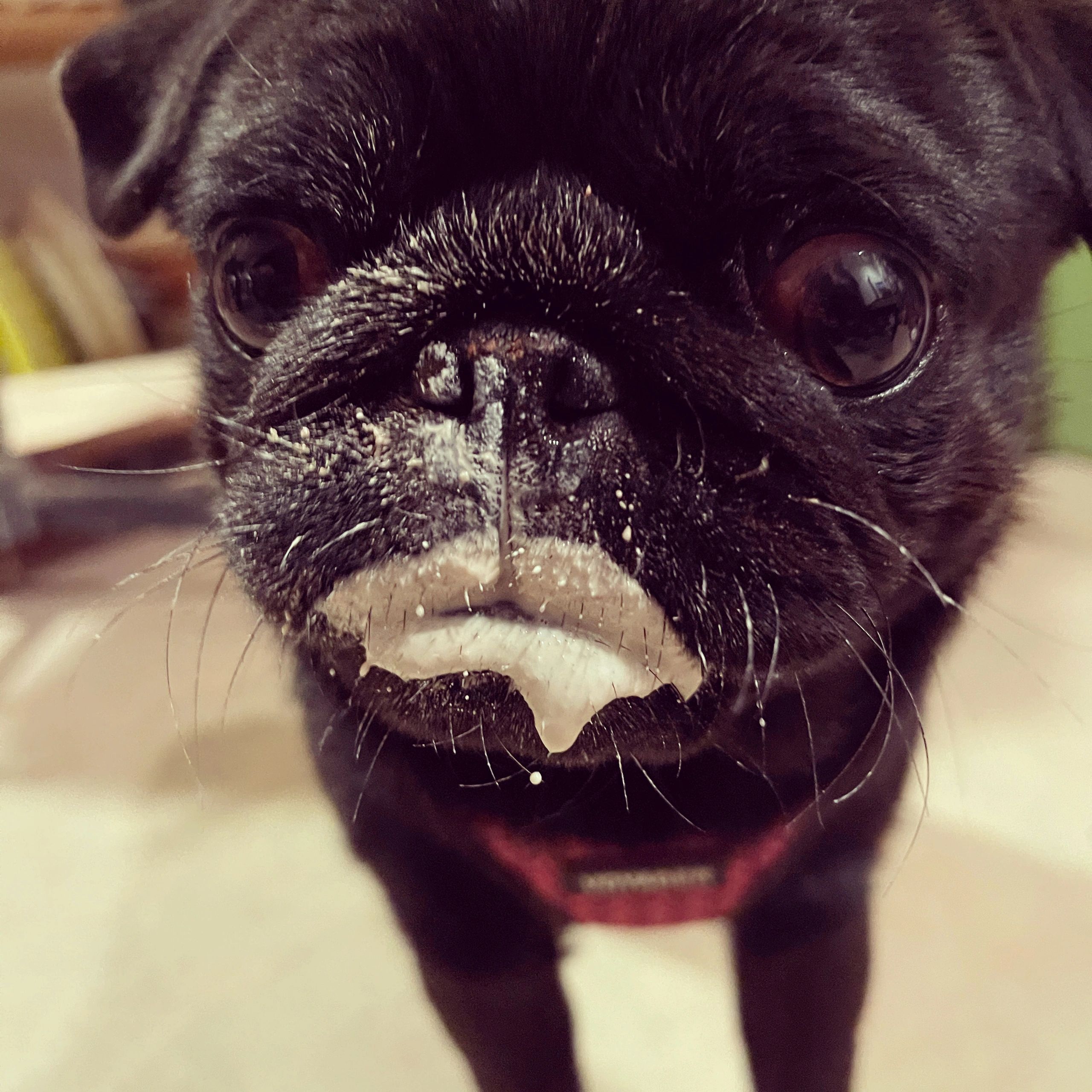 Welcome [megdickerson.com]