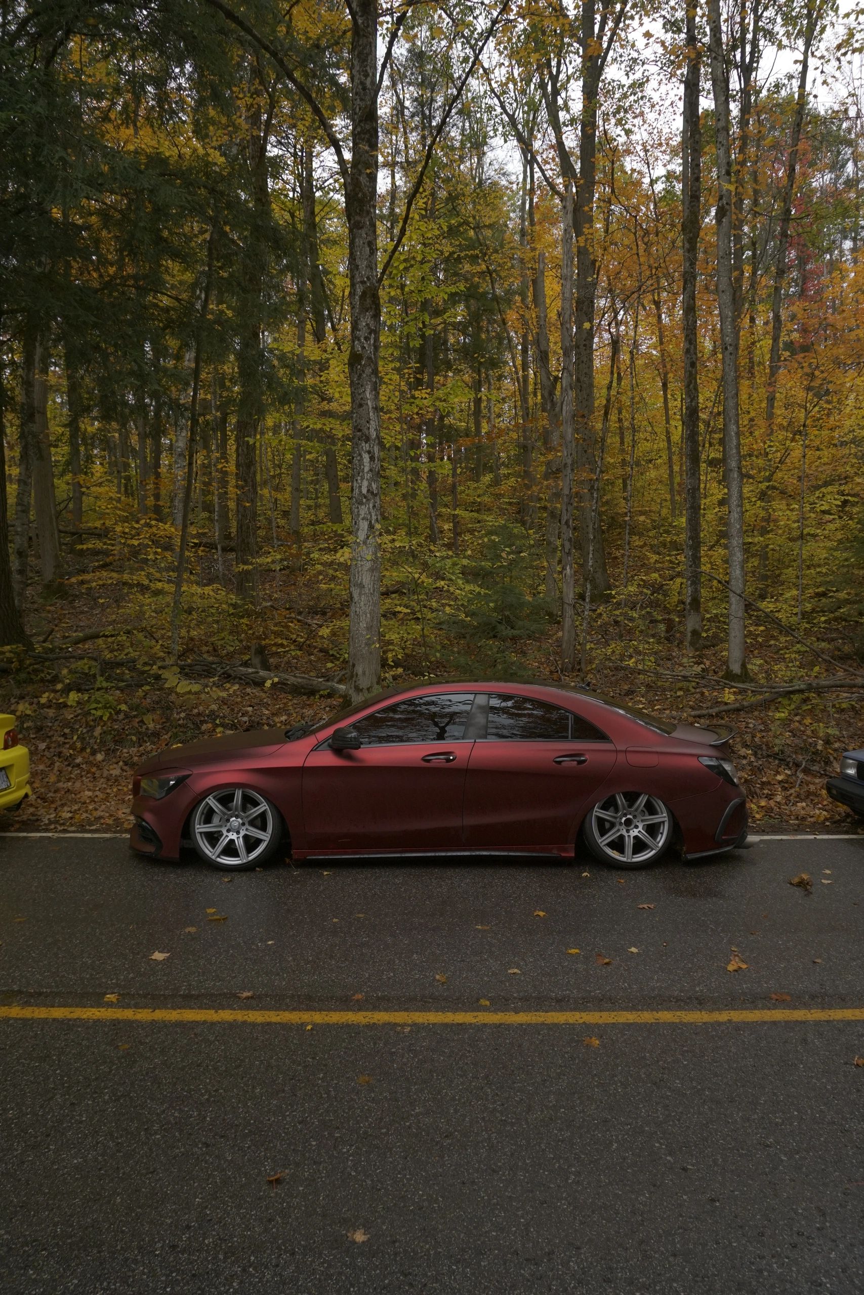 Professional Vehicle Wraps & Automotive Services