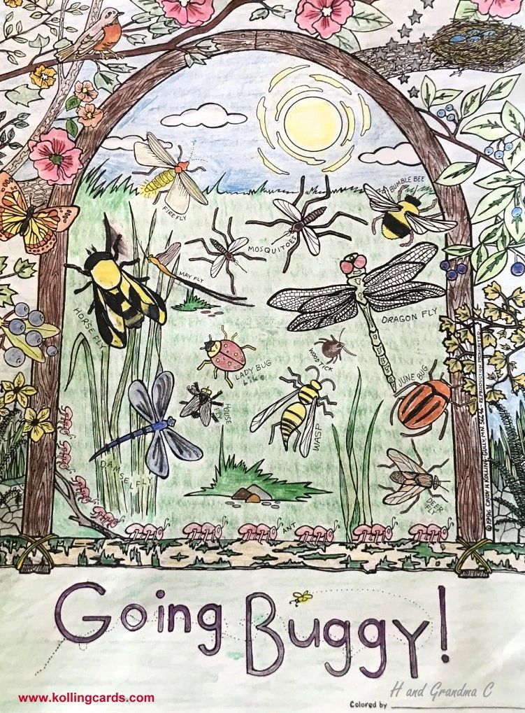 Taking Time to Go Buggy Together!