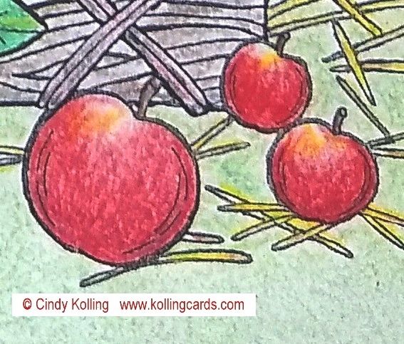 Seeing Red? Let's Look at an Apple Today