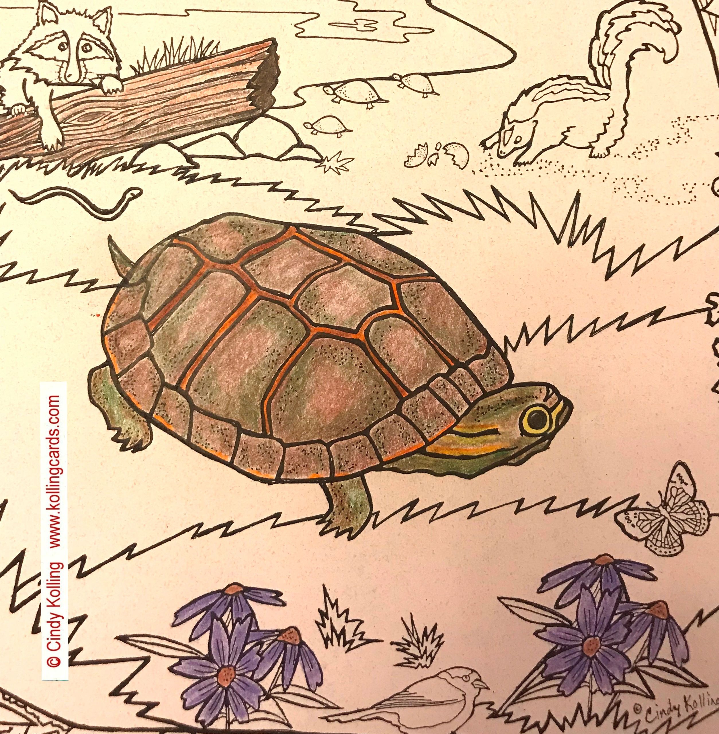 Me Too! Me Too! Color Me Too!