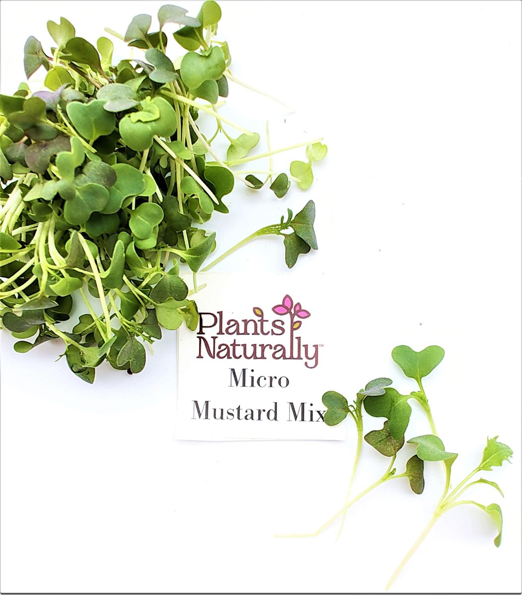Micro Mustard Mix