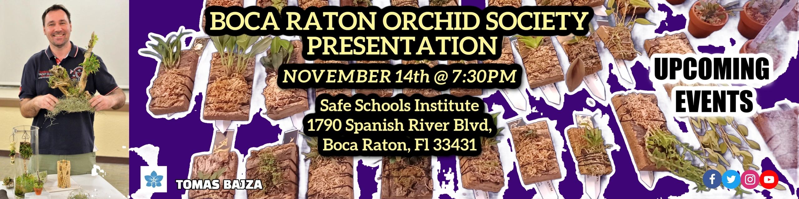 The Tarzane Group Inc - Orchids, Miniature Orchids, Small Orchids