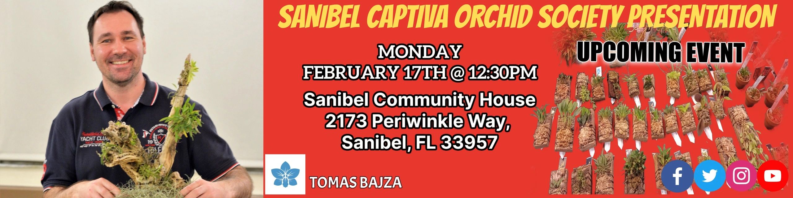 The Tarzane Group Inc - Orchids, Miniature Orchids, Small Orchids