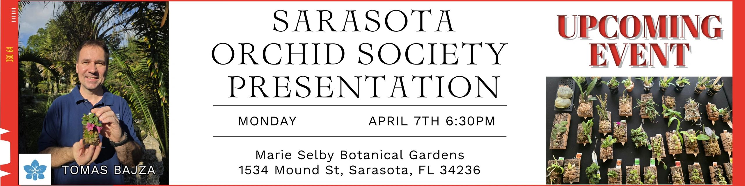 The Tarzane Group Inc - Orchids, Miniature Orchids, Small Orchids