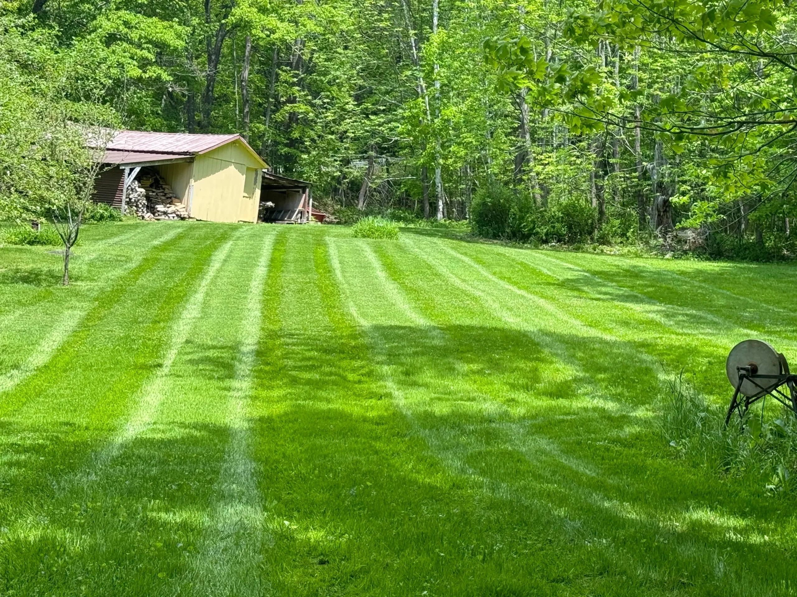 Professional Lawn Care Mowing Services