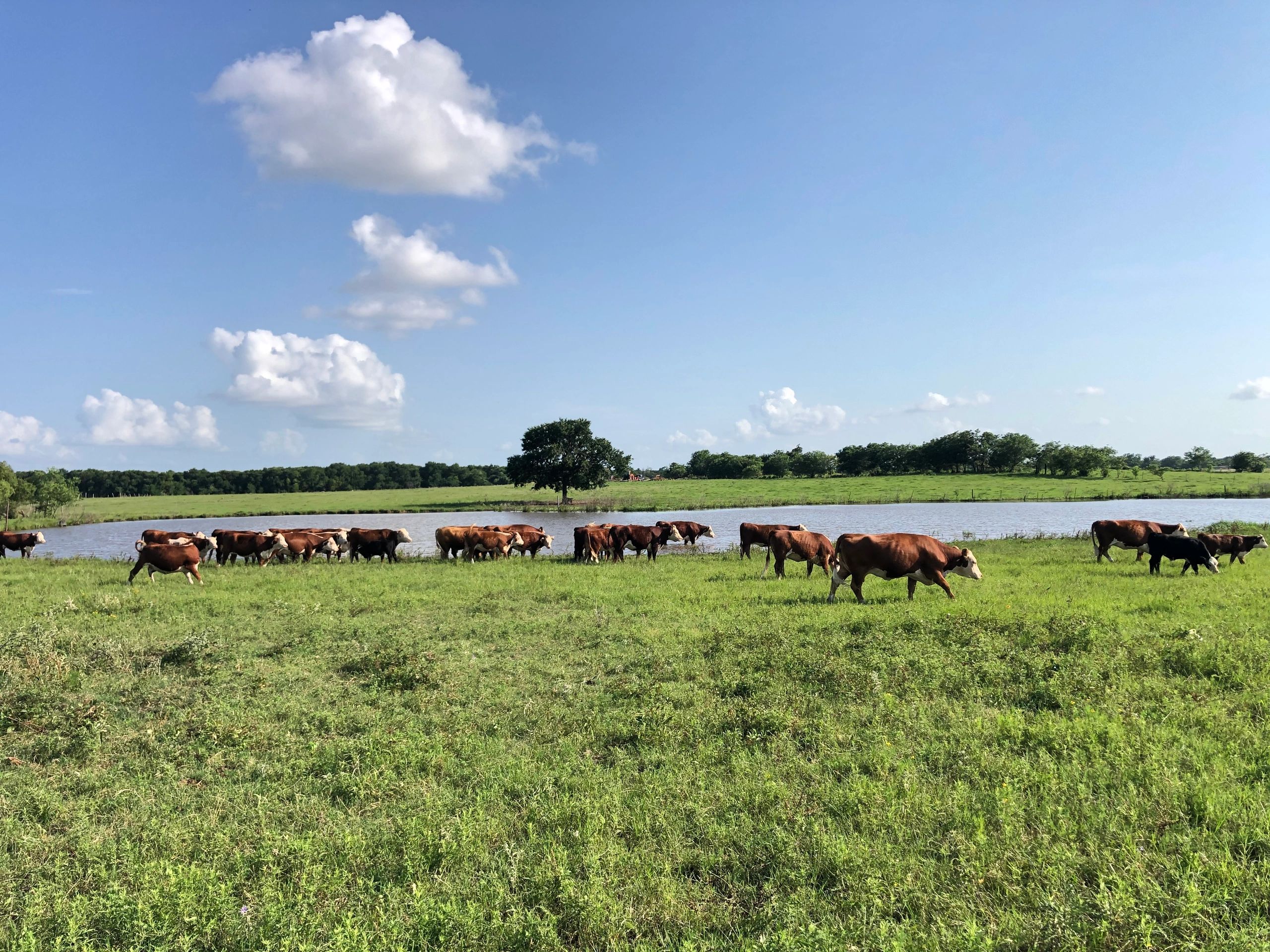 Basin Ranch Billings Montana at Miguel Campbell blog