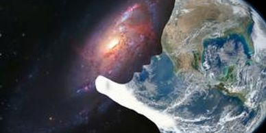 The Evolved Nest - Darcia Narvaez, Darcia Narvaez, Nonprofit, Niche