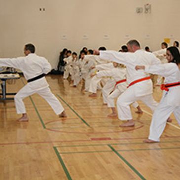 Tuscany Karate Calgary NW - Dynamic Karate Association