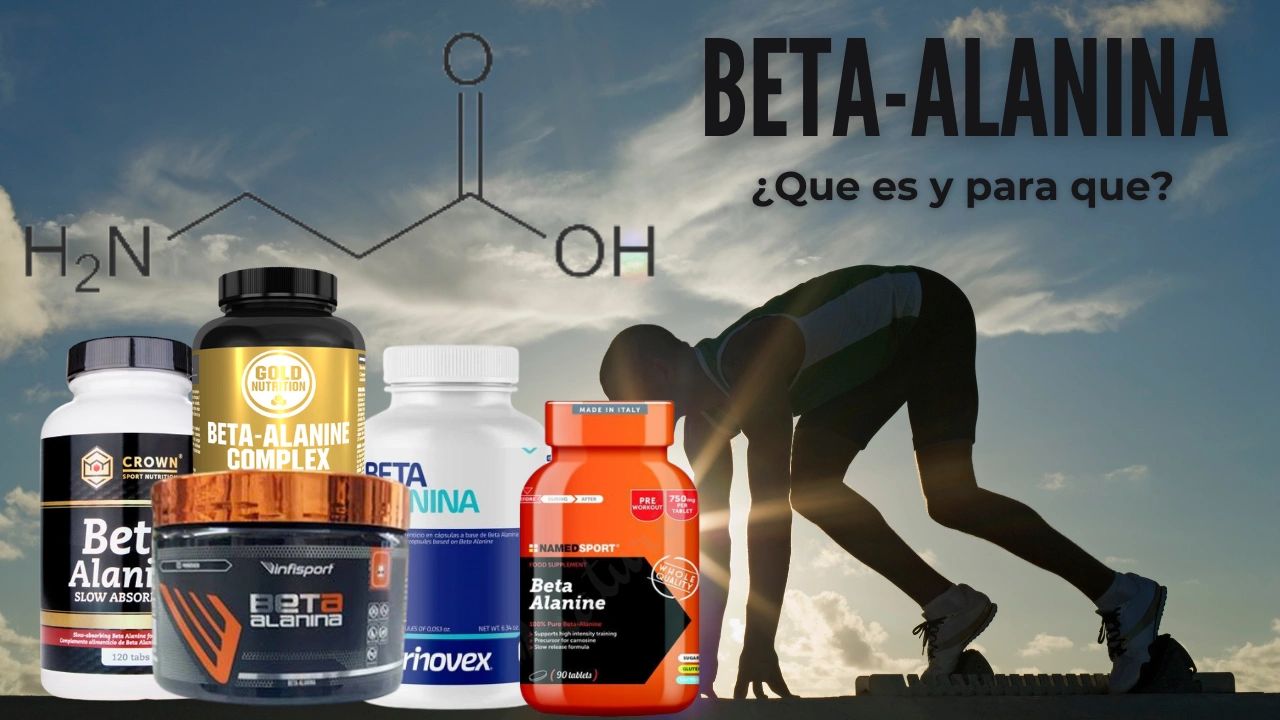 Beta Alanina ¿que Es Y Como Funciona🚱 Conheça O Significado De Eva