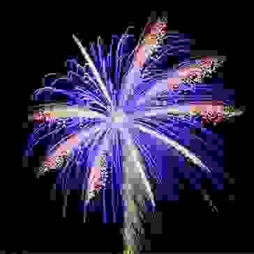 Fireworks - pataka.com