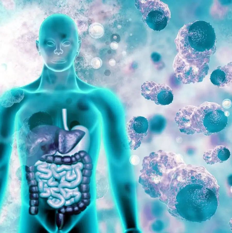 The Body’s Toxic Load: What You Need to Know