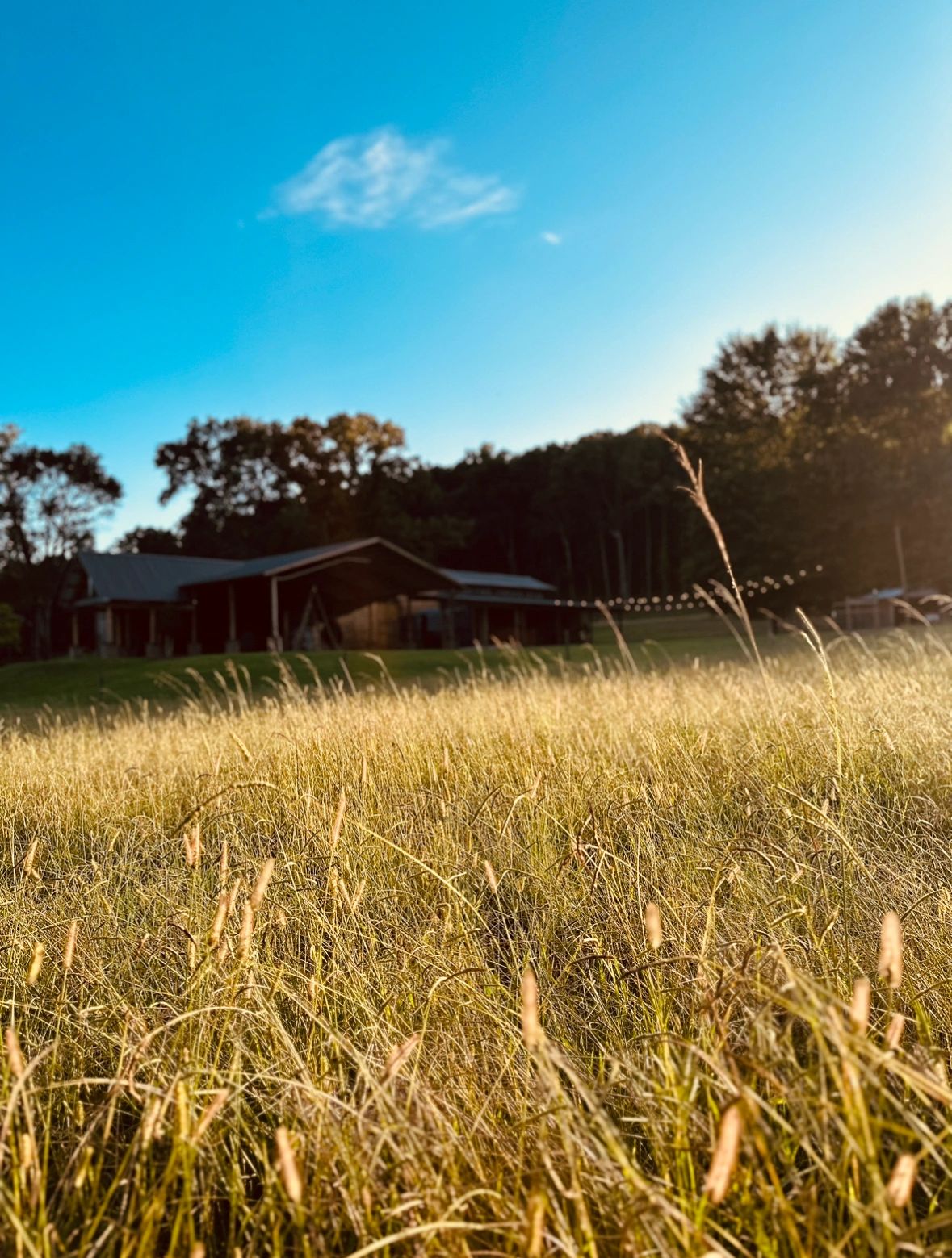 Hall Farms Weddings + Events