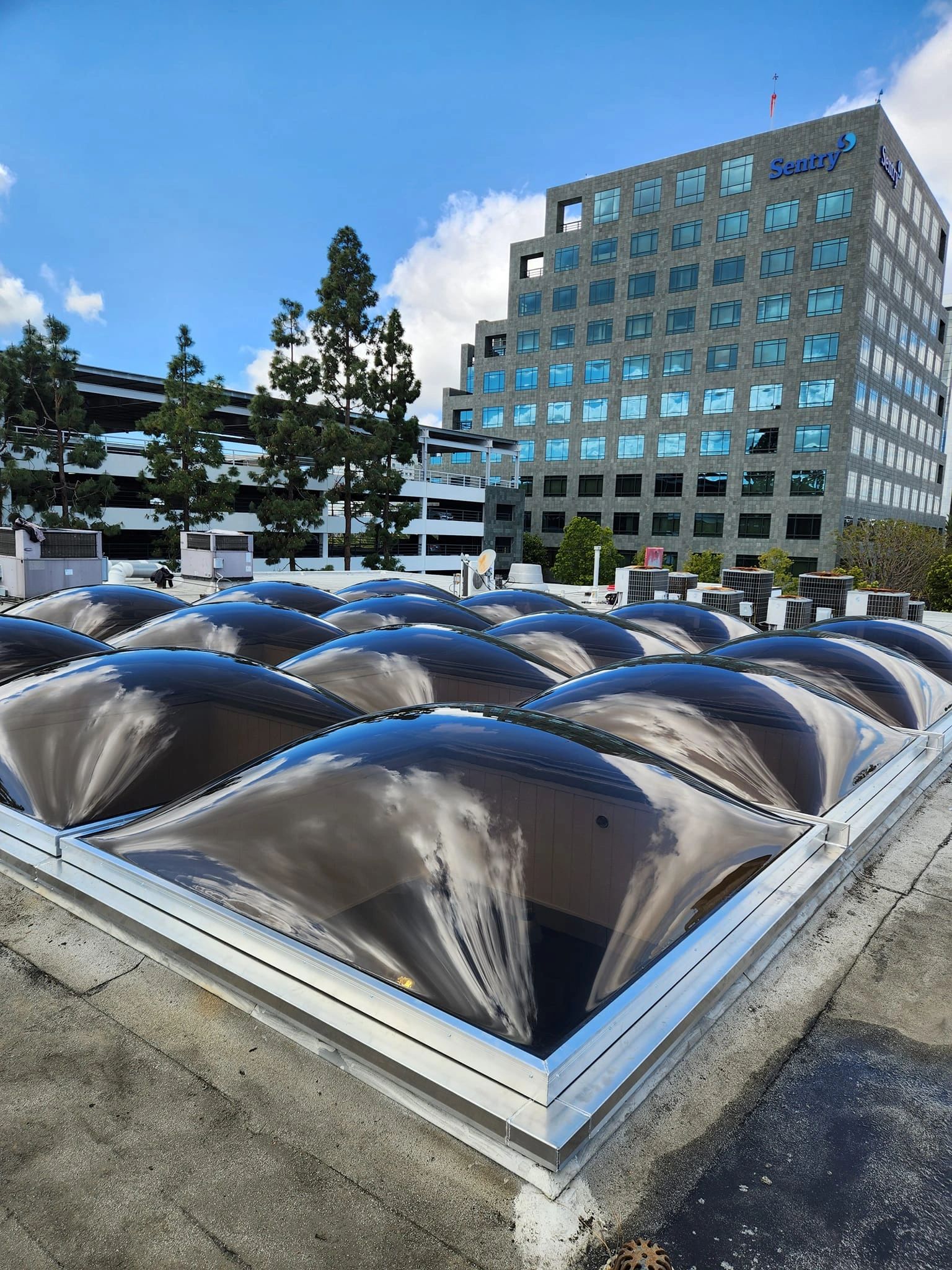 Expert Skylight Installation Services