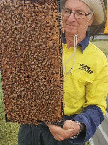 Premium Raw Honey - Rockhampton Bees