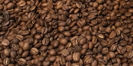 Frog Friendly Coffee - Coffee, Organic, Coffee Roaster