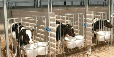 Sheehy Enterprises - Calf Care, Calf Hutches | Sheehy Enterprises