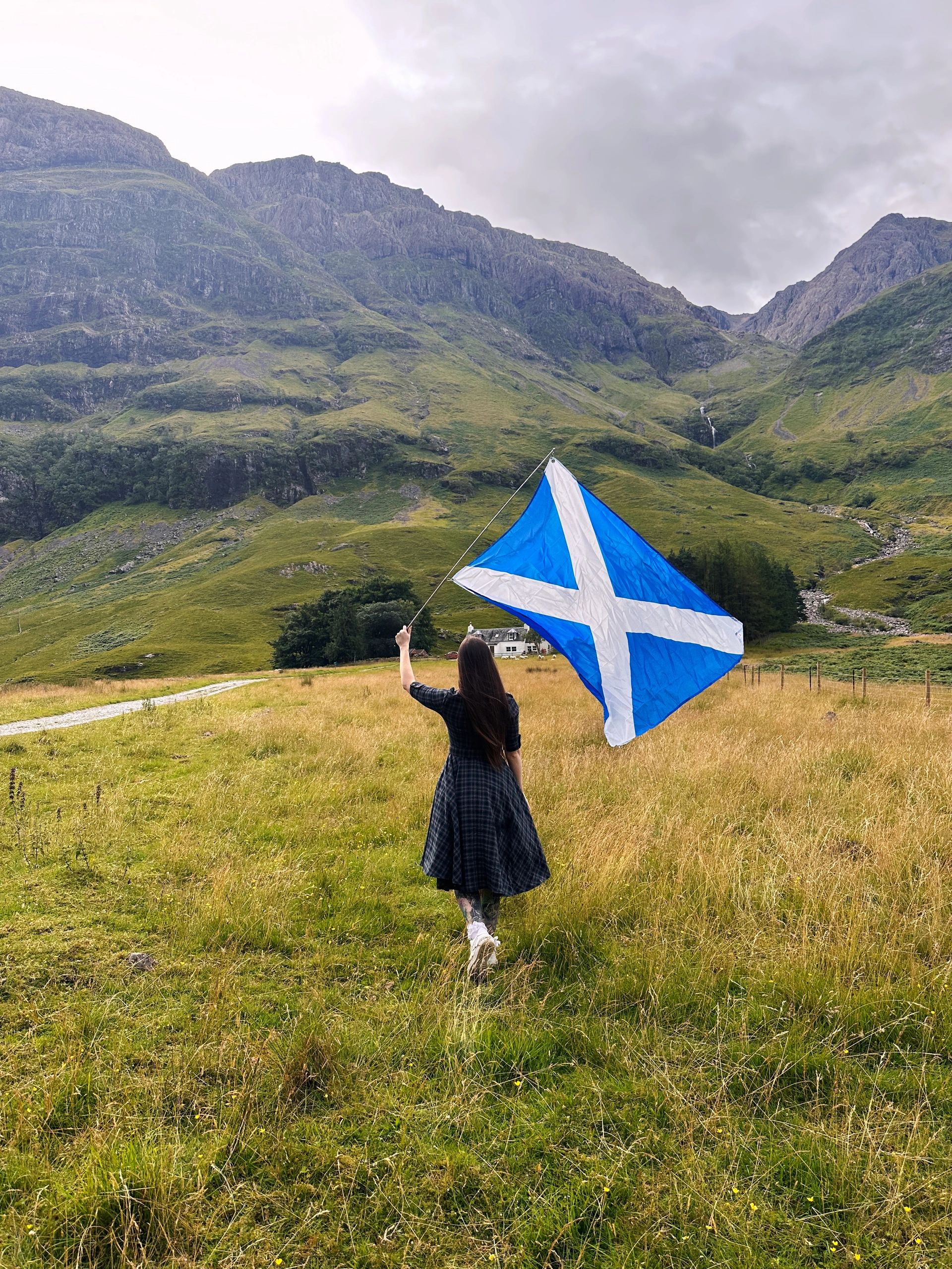 Highland Bunny