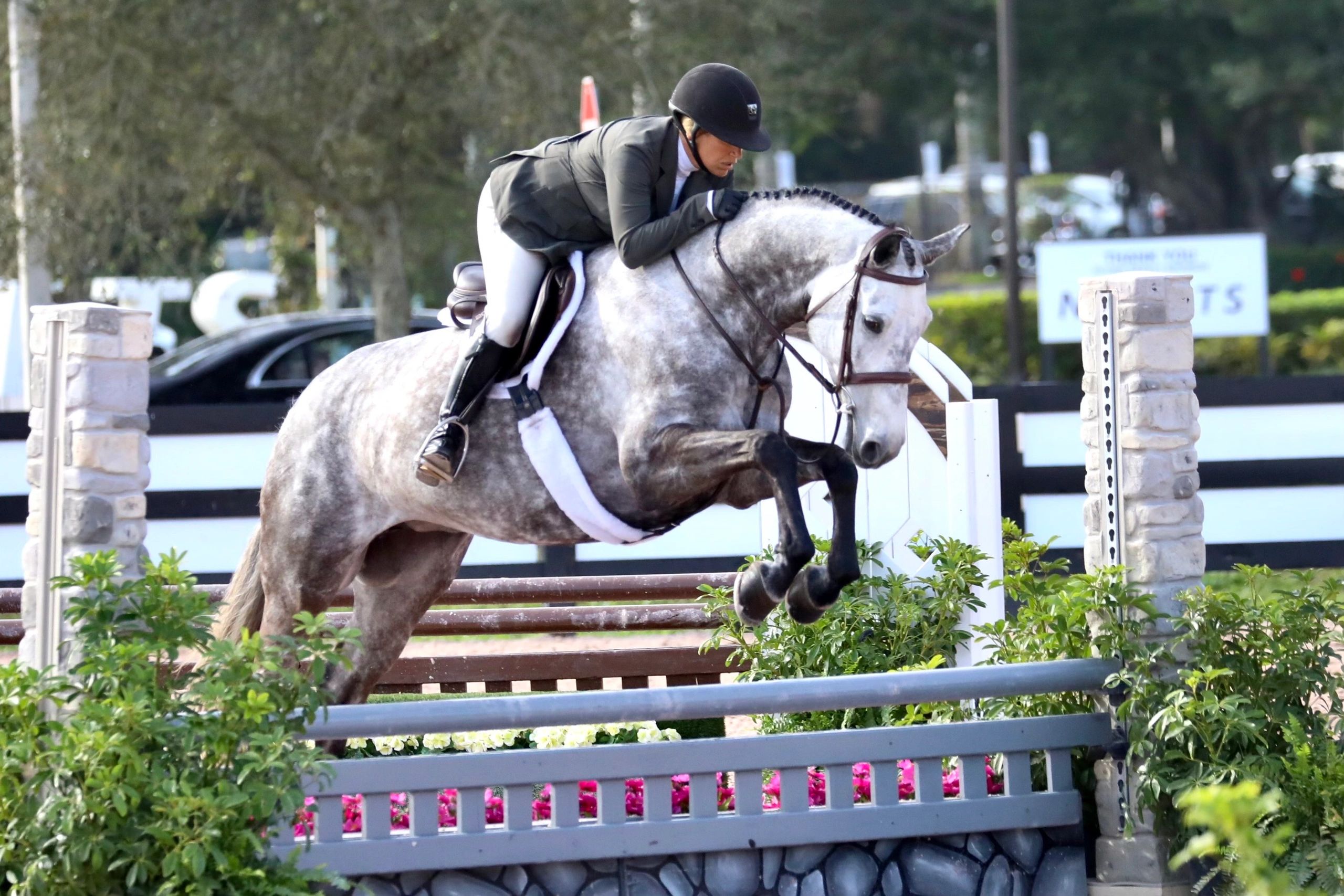 SHS at WEF III - Ribbons, double clear, a debut, and new arrivals