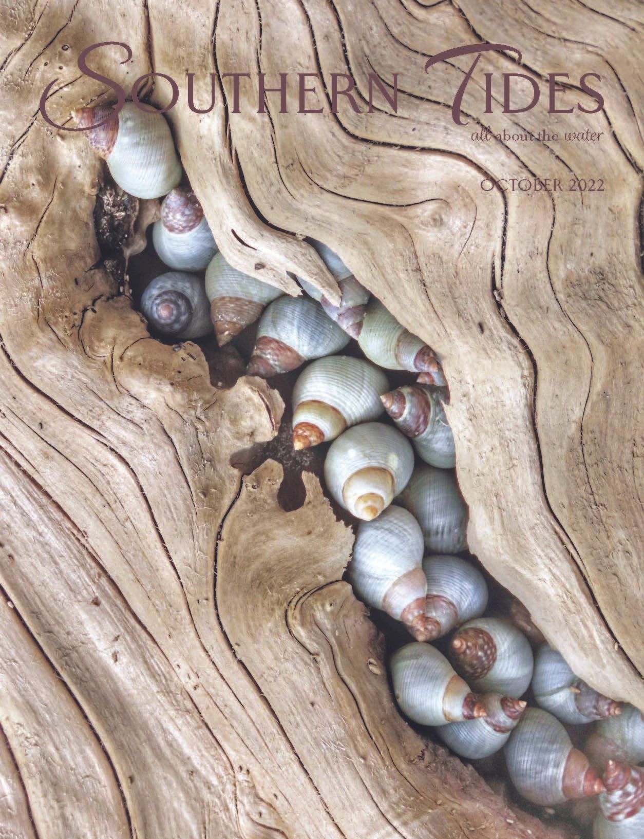 Southern Tides Magazine