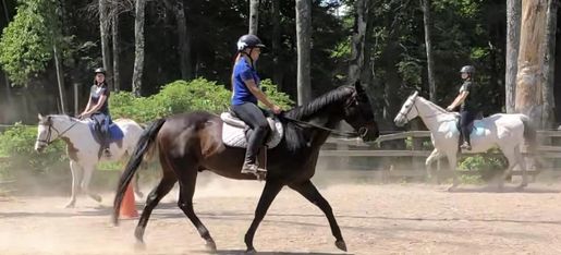 Horseback Riding Lessons