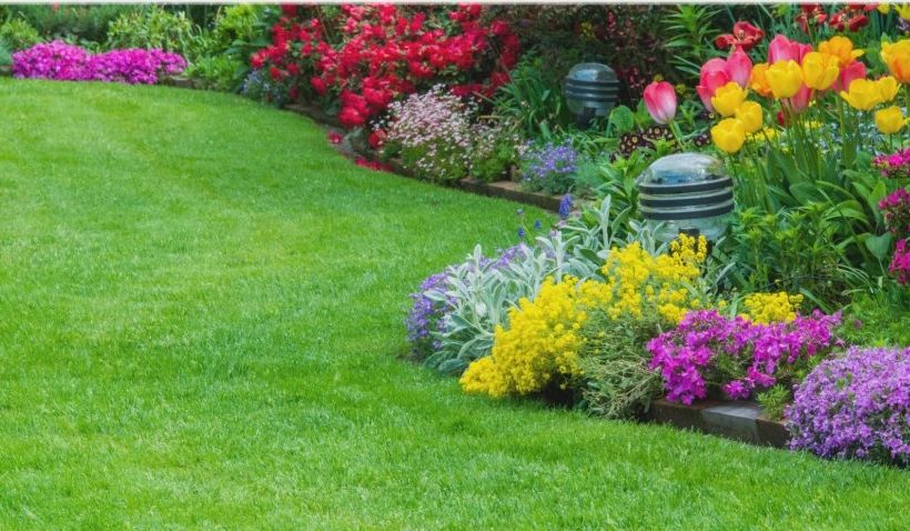 Majestic Landscapes & Gardens