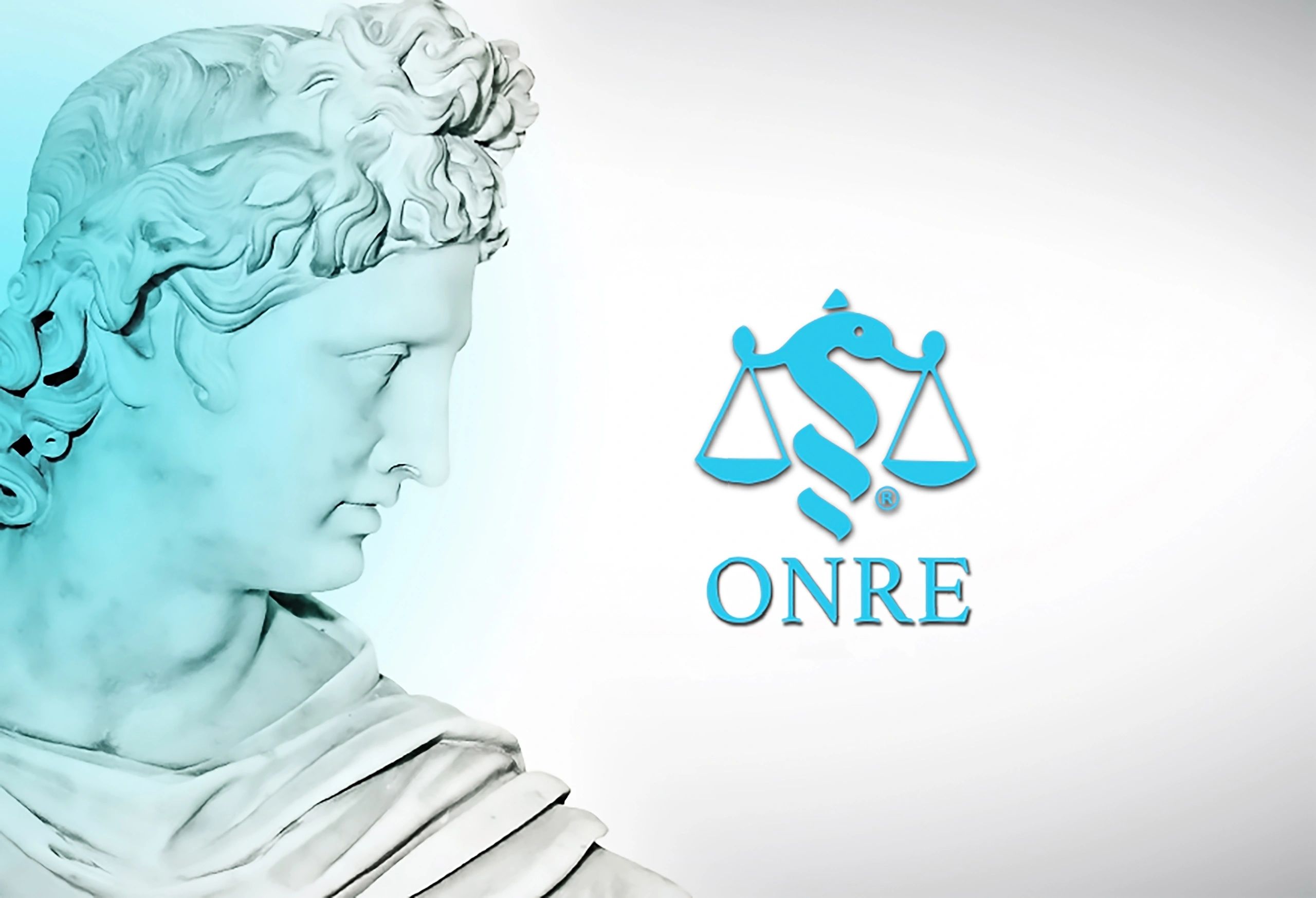 ONRE | Organización Nacional de Responsabilidad del Estado