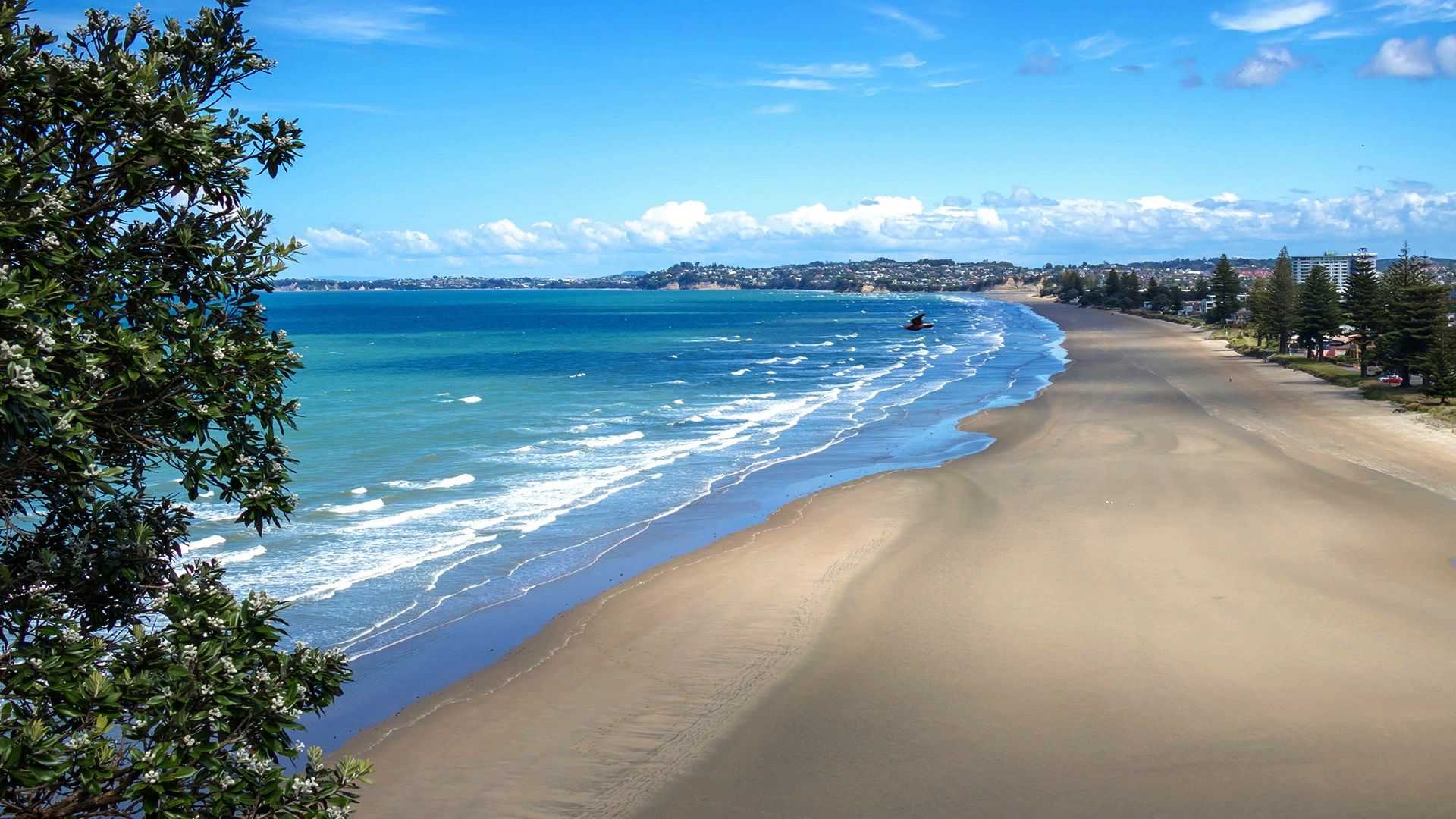 Orewa Beachcomber