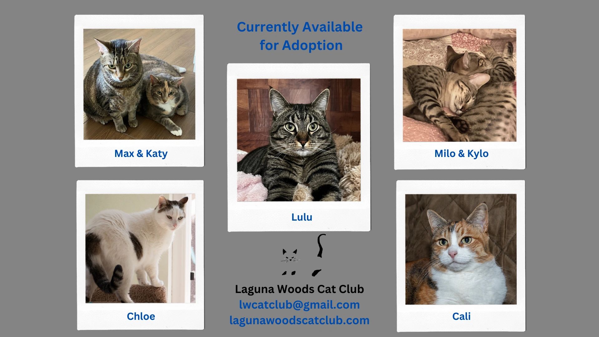 Laguna Woods Cat Club