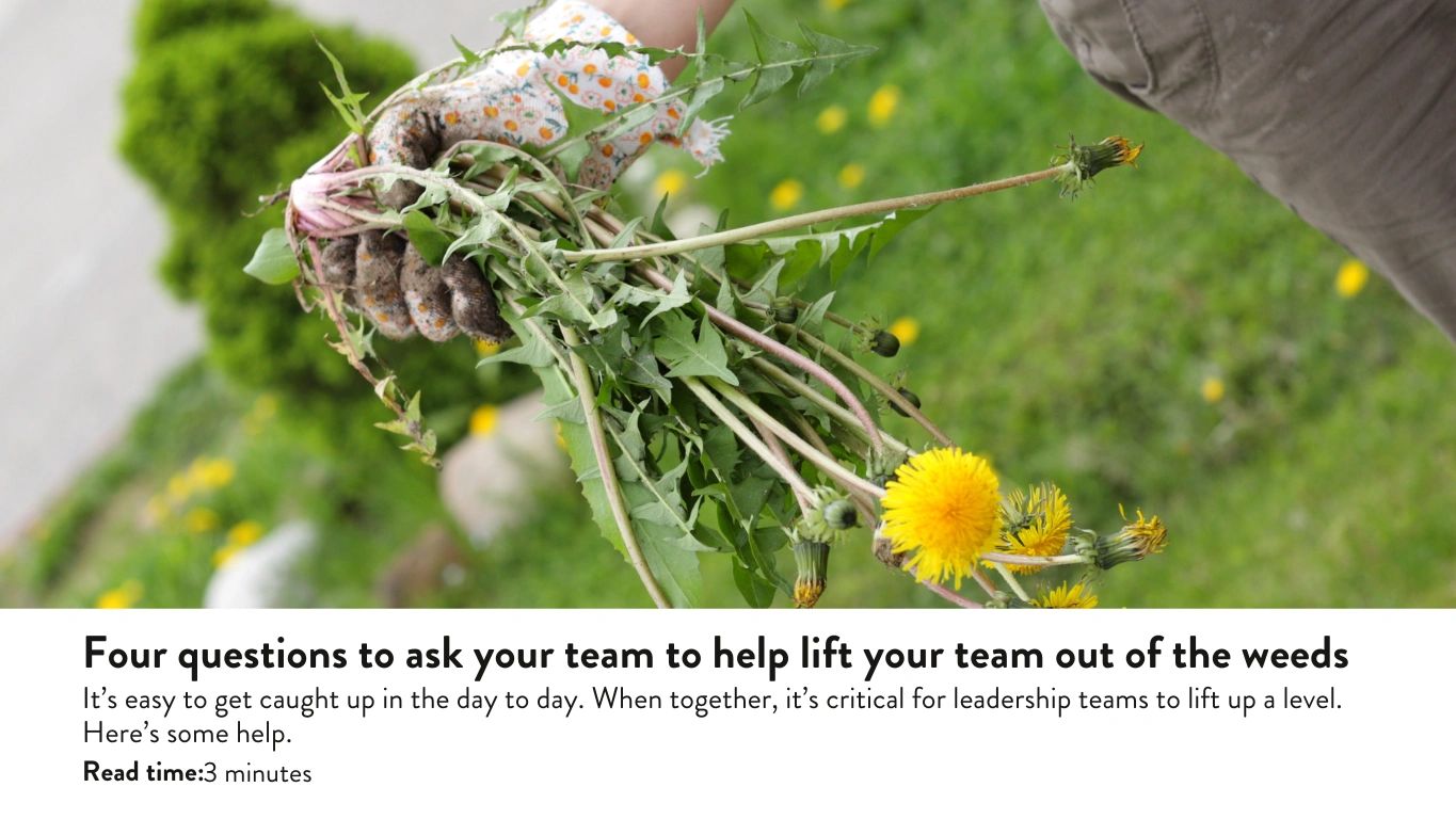 Four questions to help lift your team out of the weeds.