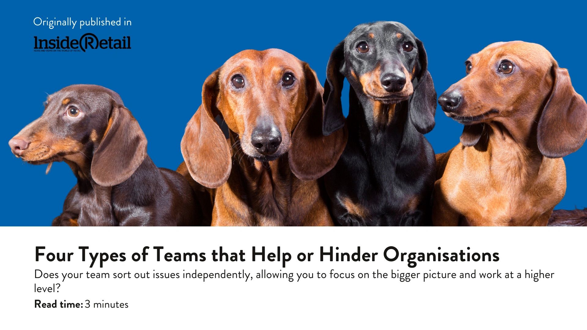 The four types of teams that help or hinder organisations