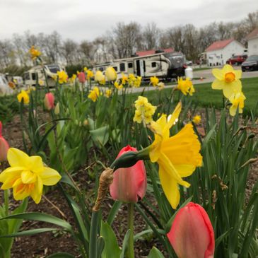 Alton RV Park