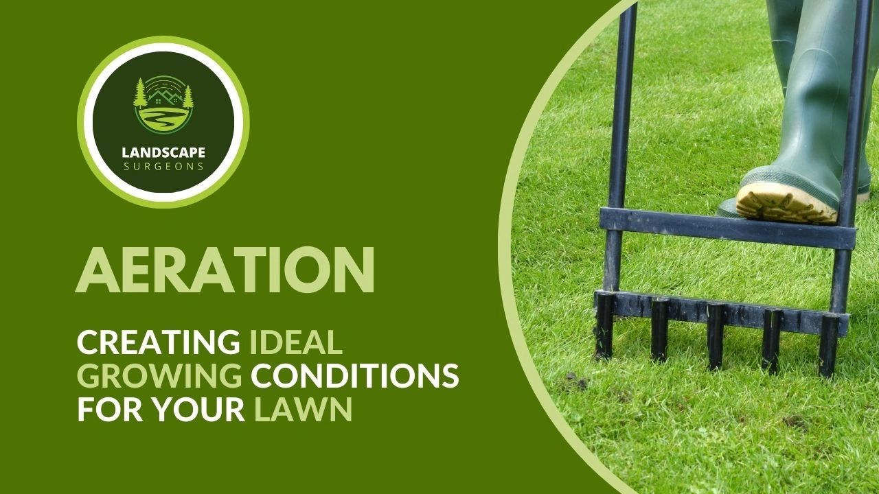 Aeration : Creating Ideal Growing Conditions for Your Lawn