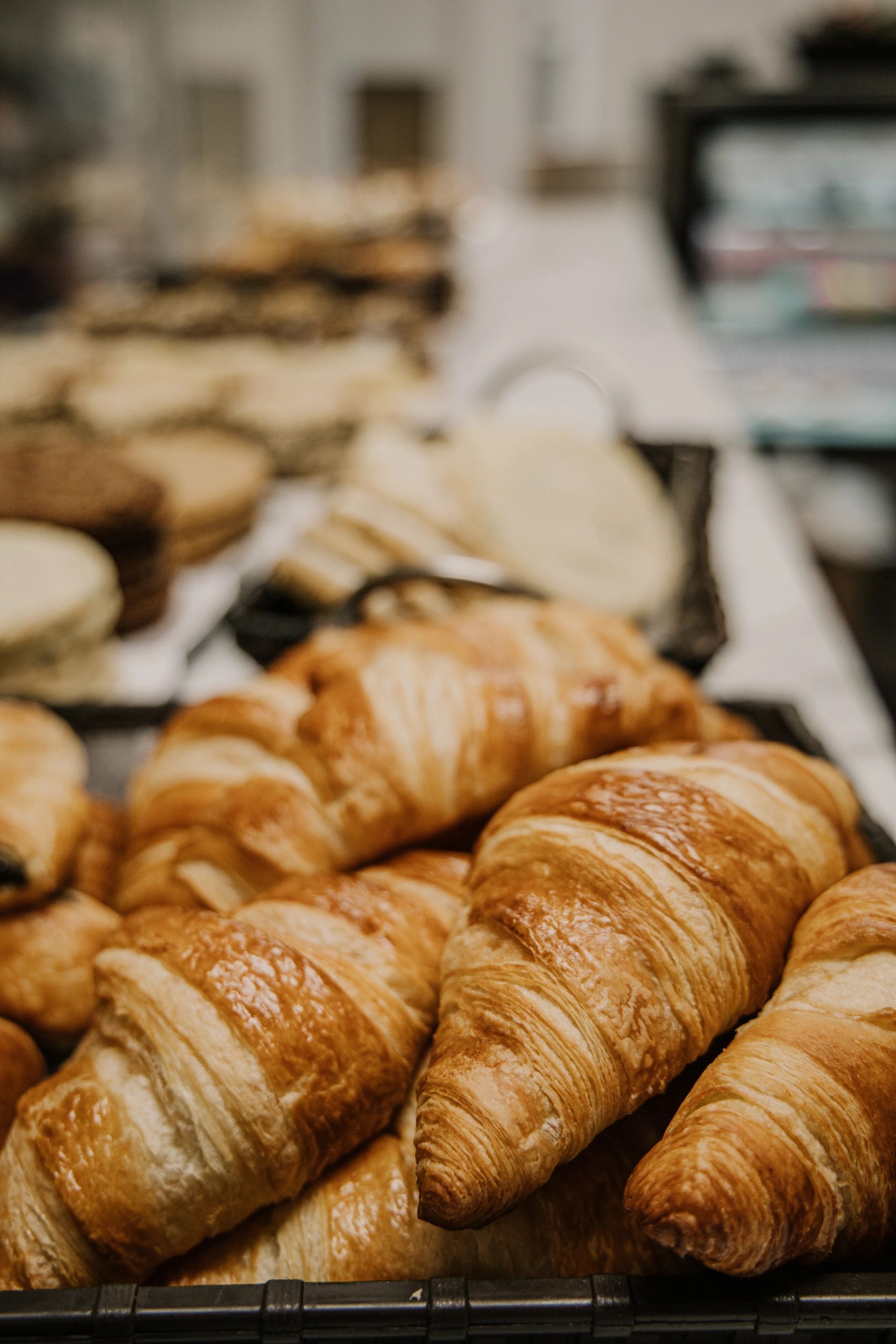 Two Guys and a Whisk Bakery - Cakes, Bakery, Pastries
