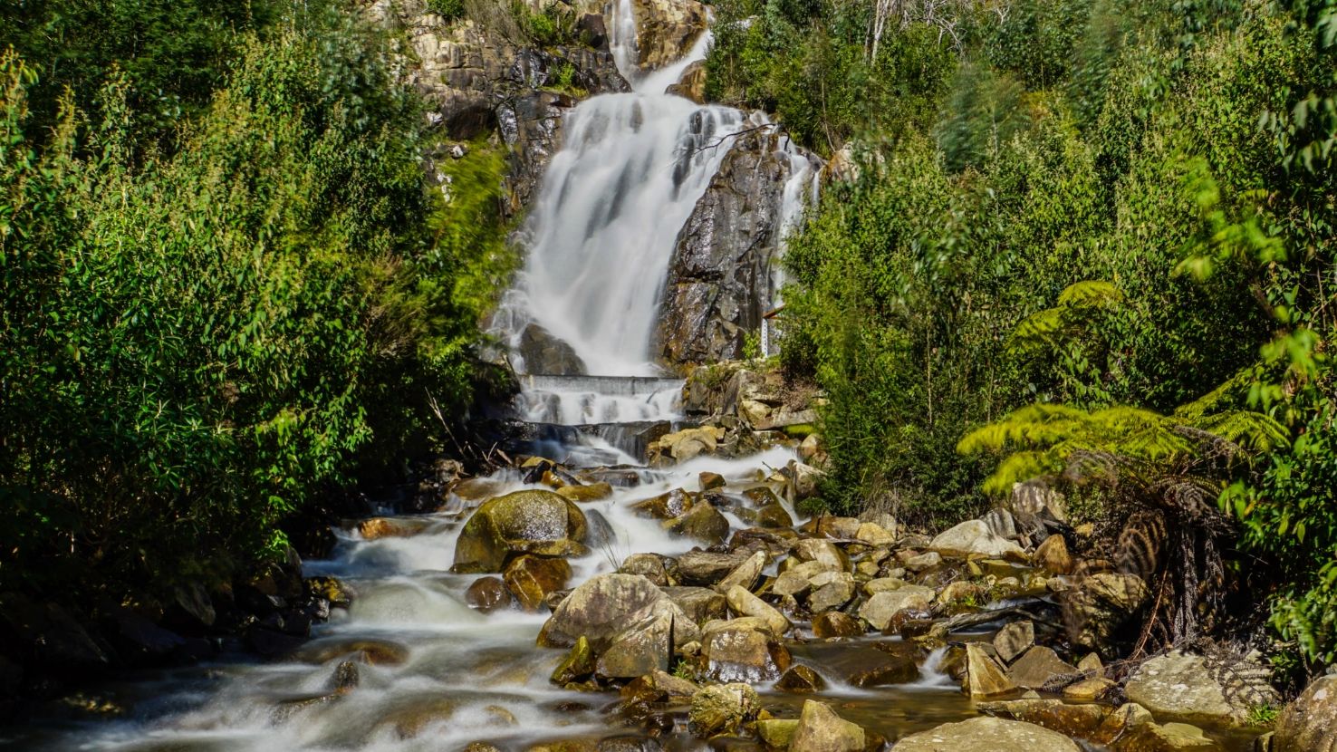 Brighton Falls
