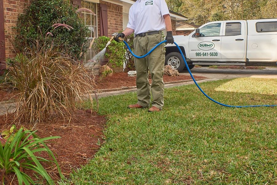 Effective Rodent Control Services | Durmo Pest and Ornamental
