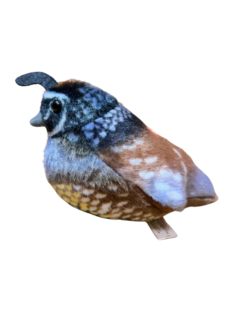 Stuffed Animal - Quail With Sounds