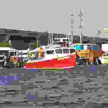 Badfish Charter Fishing - Chesapeake Charter Fishing, Kent Island ...