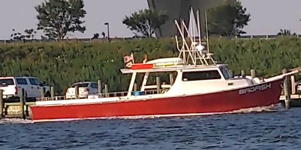 Badfish Charter Fishing - Chesapeake Charter Fishing, Kent Island