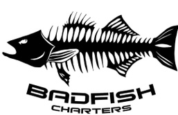 Badfish Charter Fishing - Chesapeake Charter Fishing, Kent Island
