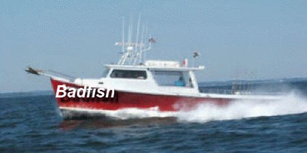 Badfish Charter Fishing