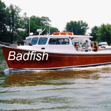 Fishing Charters | Badfish Charter Fishing