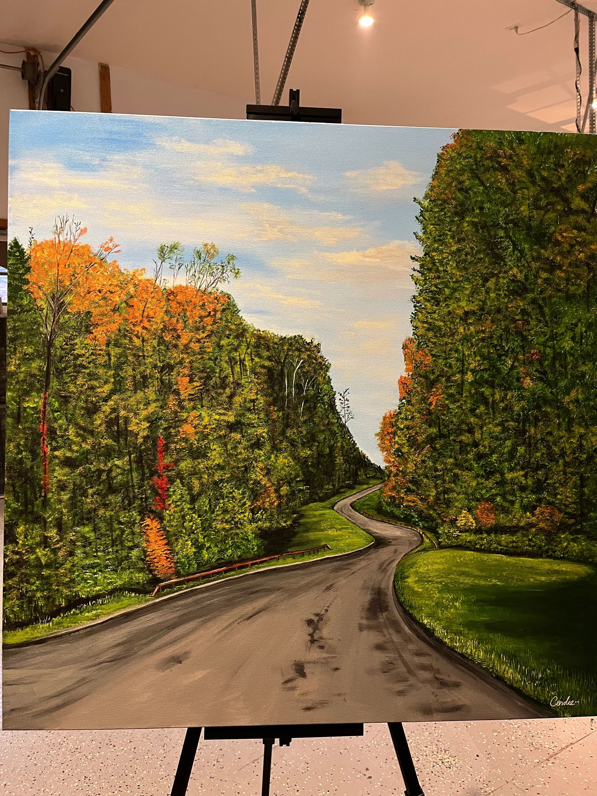 artbyCarolee - Art Gallery, Paintings on Canvas, Commission Paintings