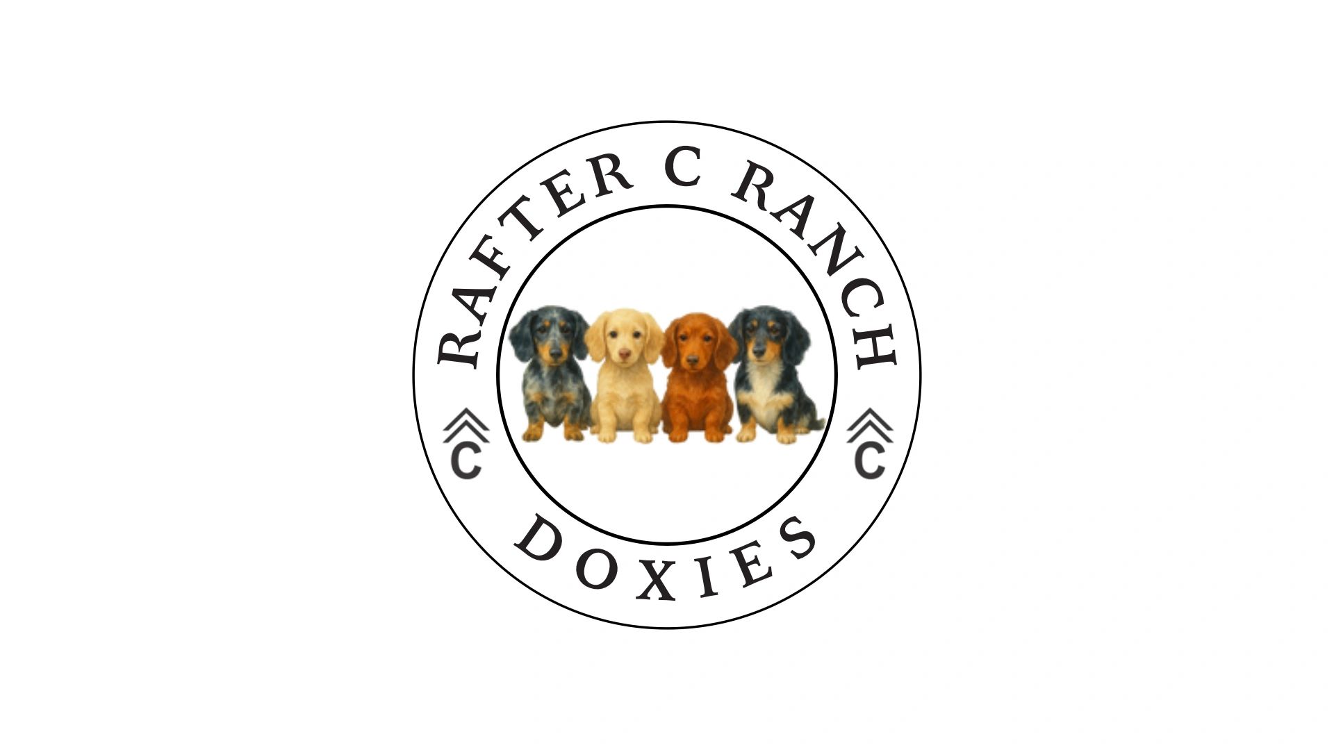 Rafter C Ranch Doxies