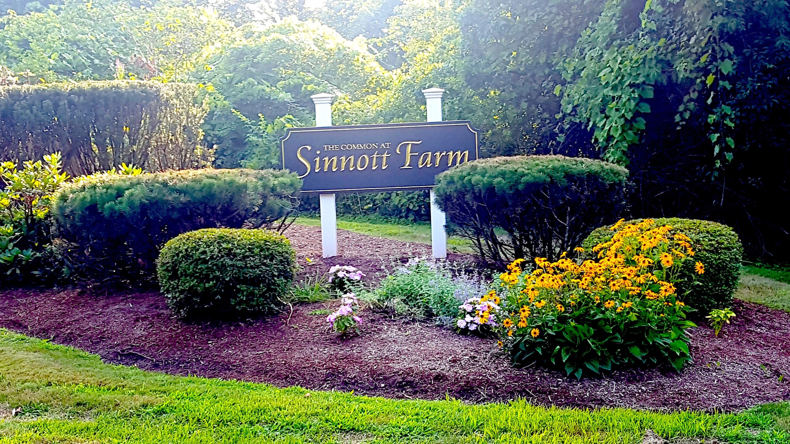 The Common at Sinnott Farm