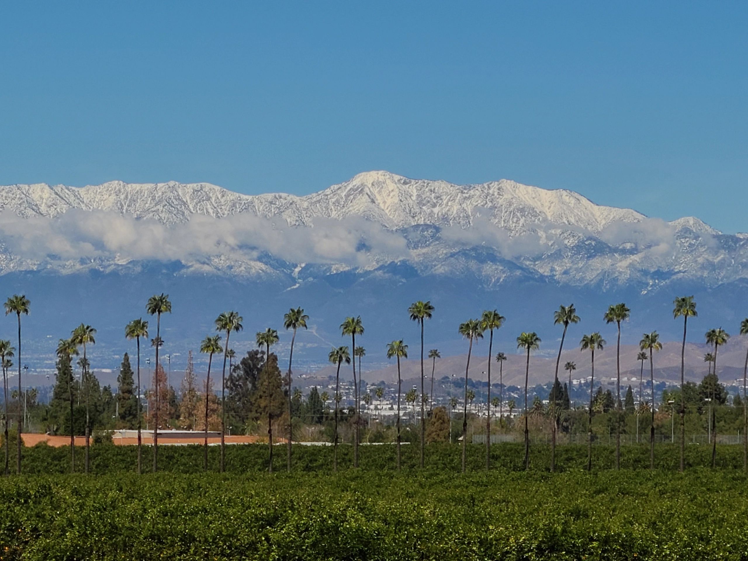 Field Claim Services | Field Claim Services