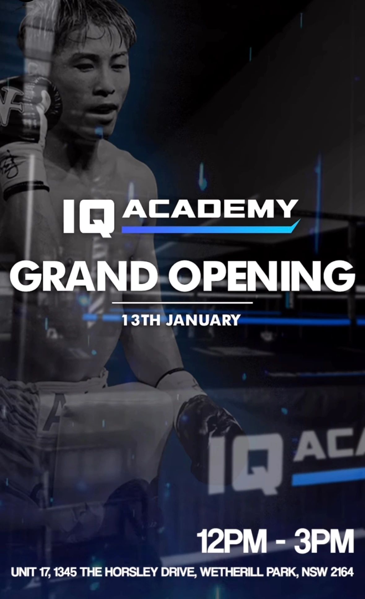 IQ Academy